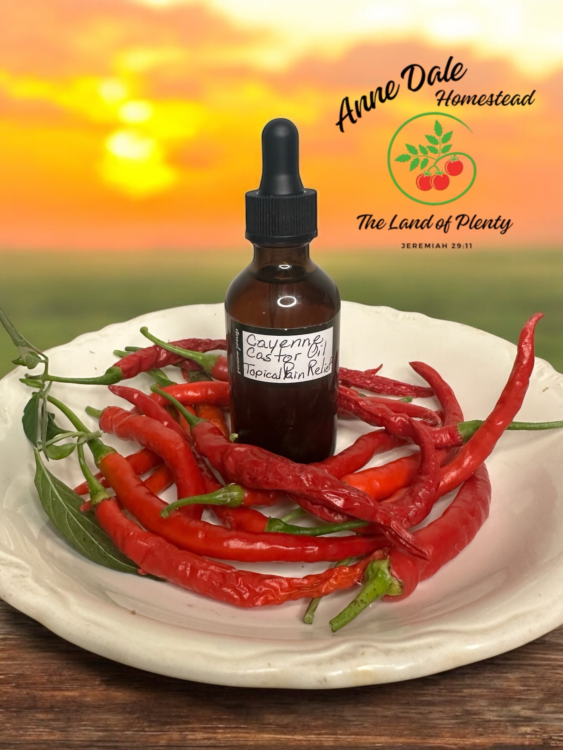 Cayenne Infused Oil – Large – The Land Of Plenty
